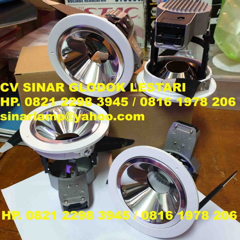 Downlight Halogen Pinhole Reflector MR16