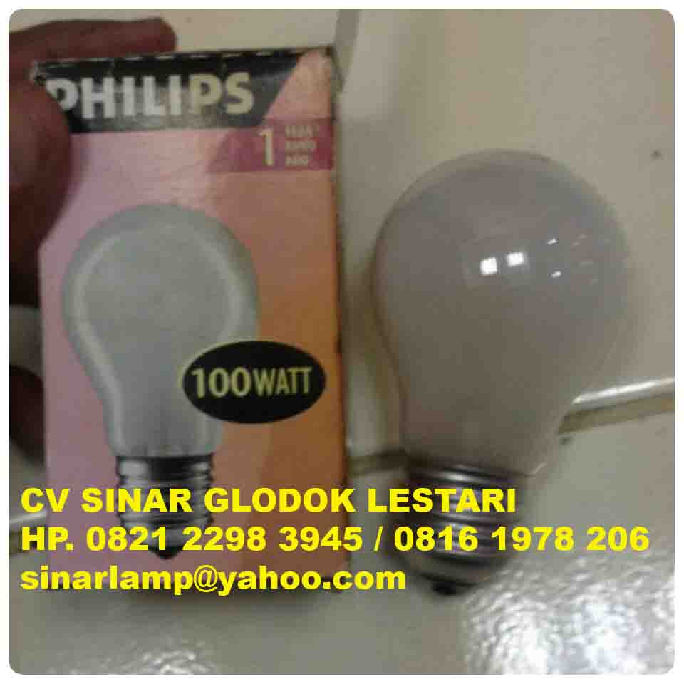 Lampu Pijar Philips 100 watt Frosted