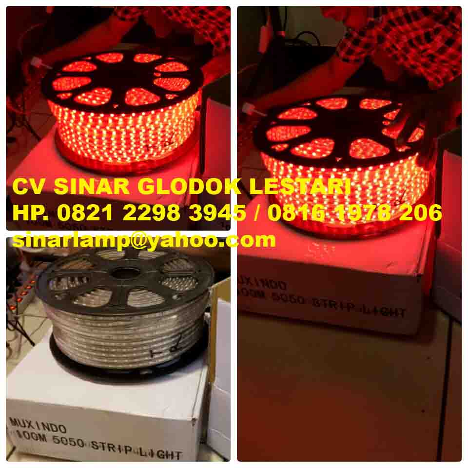 Lampu LED Strip 5050 100m warna Merah